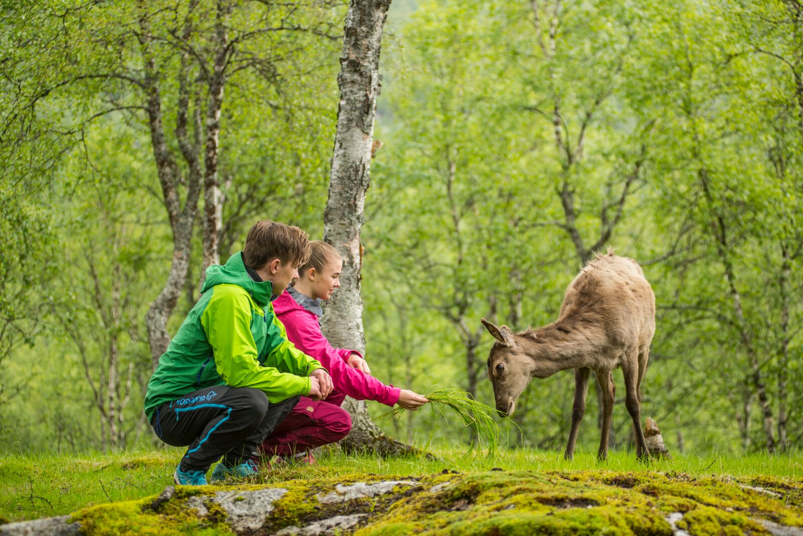 Narvik Top 10 Summer Activities | Visit Narvik
