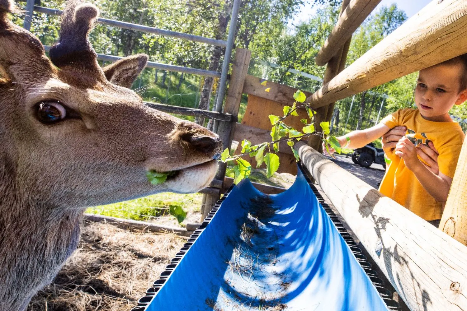 Polar Park | Visit Narvik