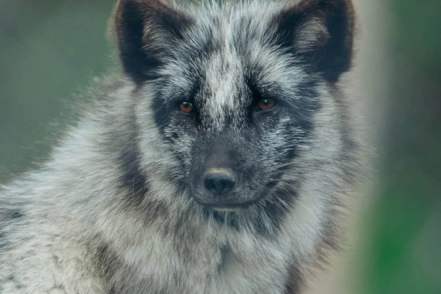 Polar Park | Visit Narvik