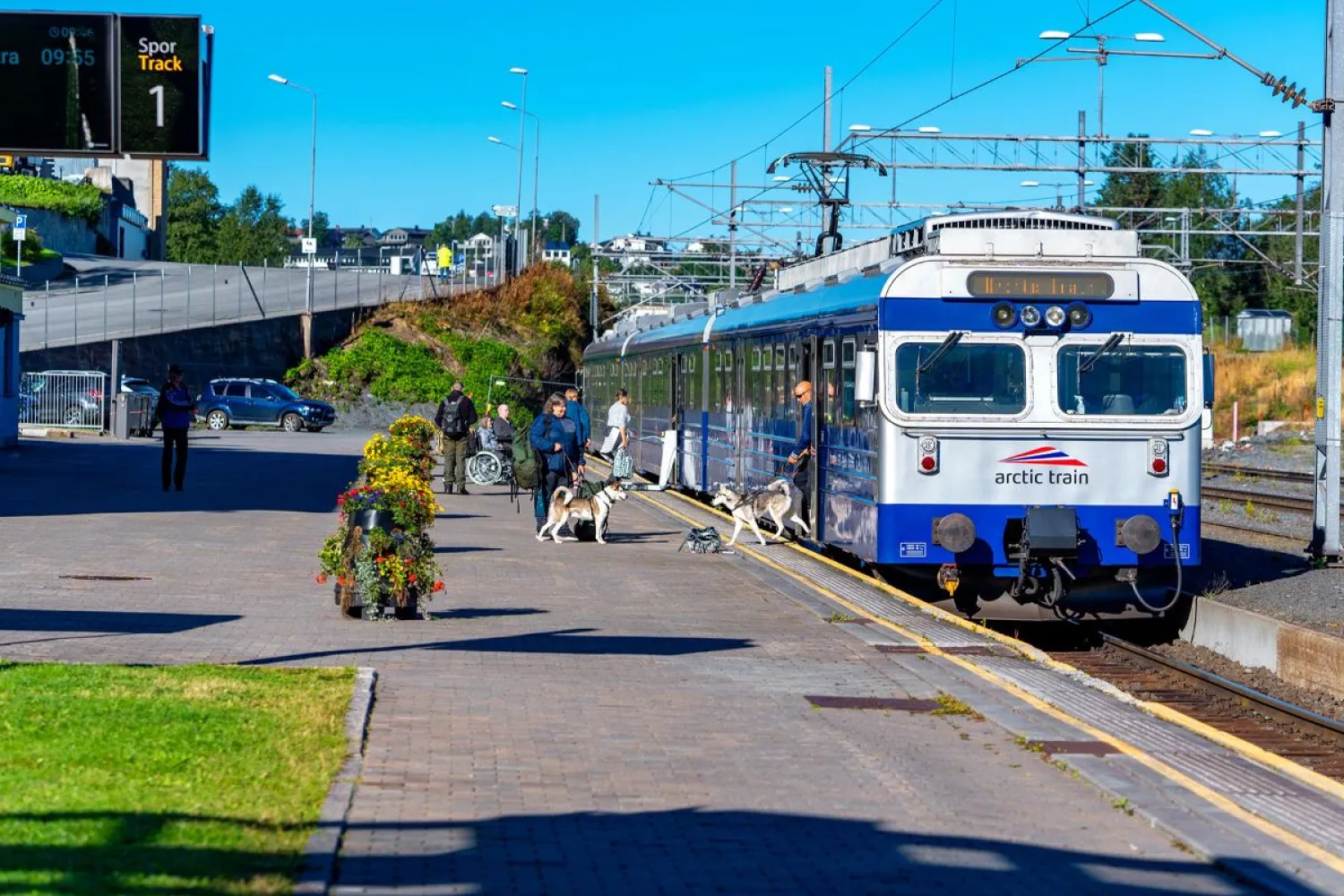 The Arctic Train - Ofoten Line | Visit Narvik