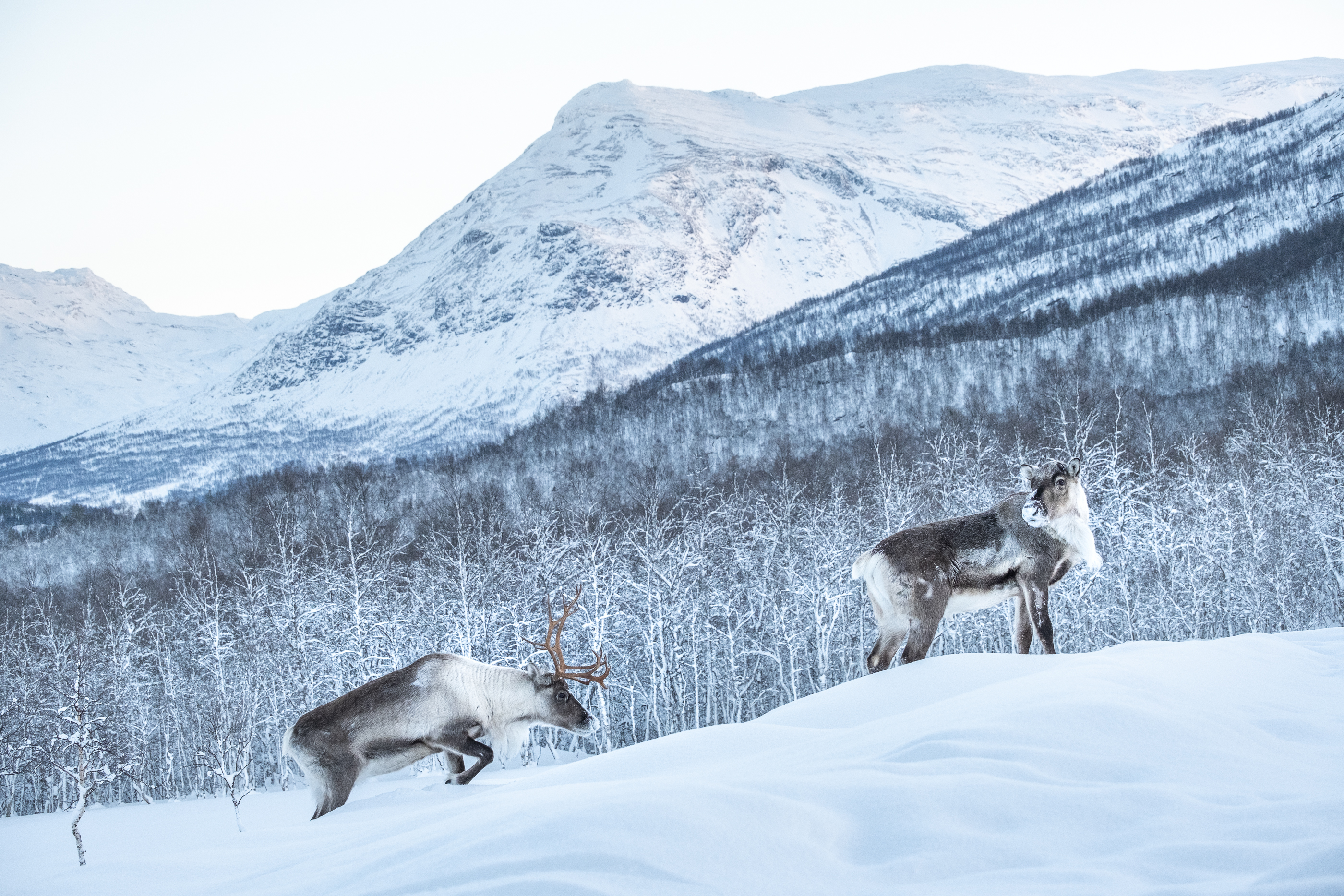 Sami Culture | Visit Narvik